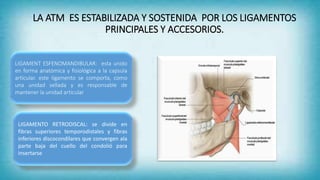 Articulación TemporomandibularVANESSA- ELIZABETH.pptx