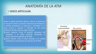 Articulación TemporomandibularVANESSA- ELIZABETH.pptx