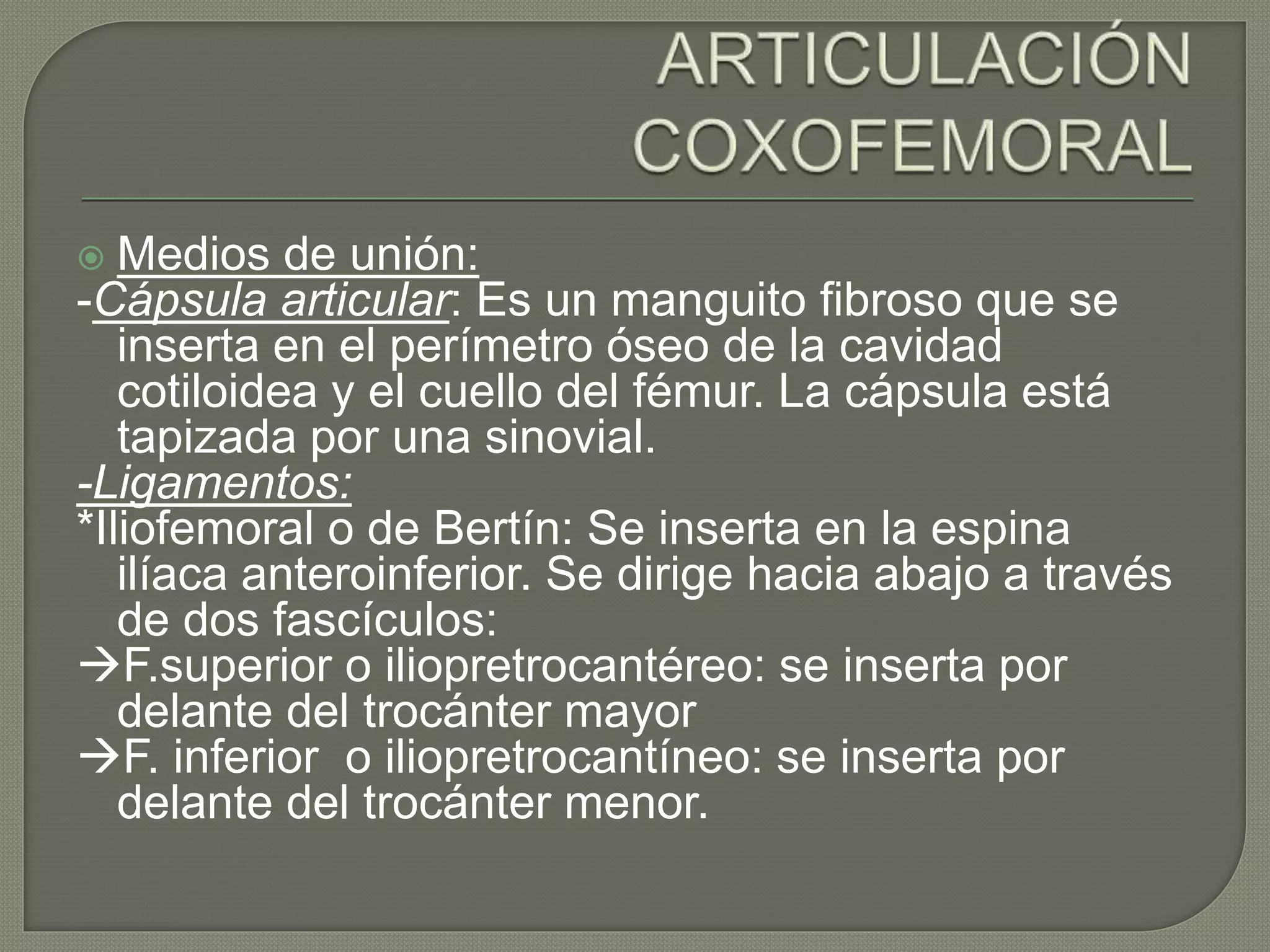 Articulacion coxofemoral | PPTX