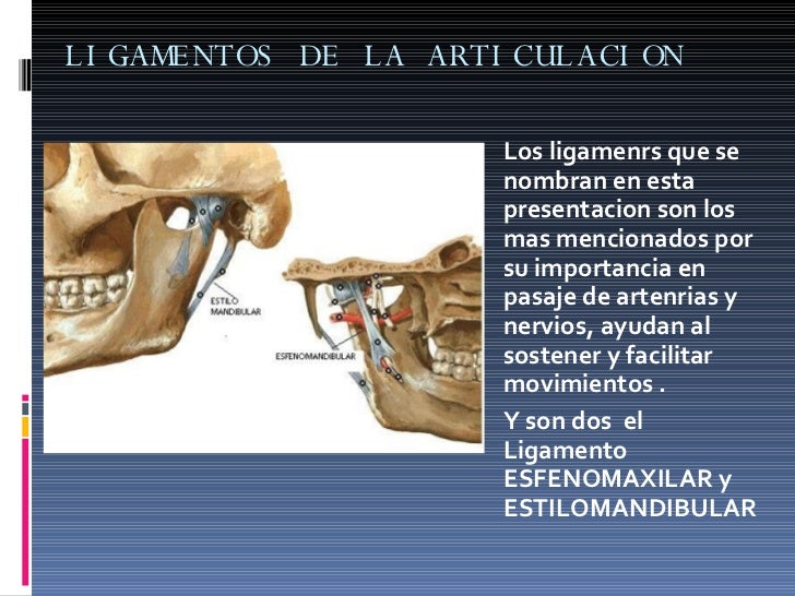 Articulacion Temporomandibular