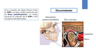 ARTICULACION-TEMPOROMANDIBULAR-DIAPOSITIVA.pptx