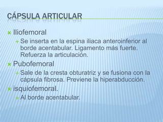 Articulacion coxófemoral | PPTX