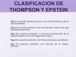 Articulacion coxofemoral | PPT