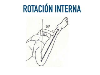 Articulación coxofemoral | PDF