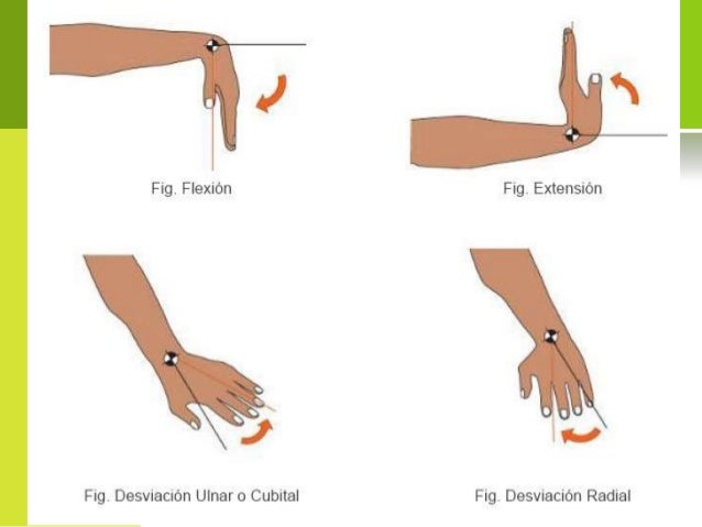 Analisis De Movimiento Flexion De Hombro