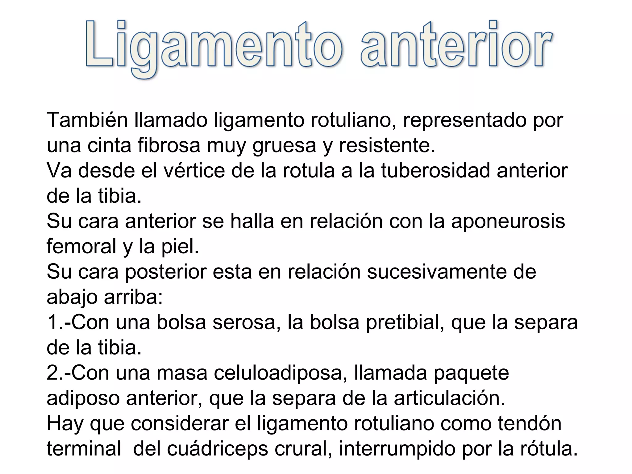 Articulación de la rodilla | PPT