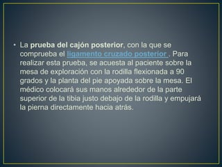 Articulación de la rodilla presentacion.pptx