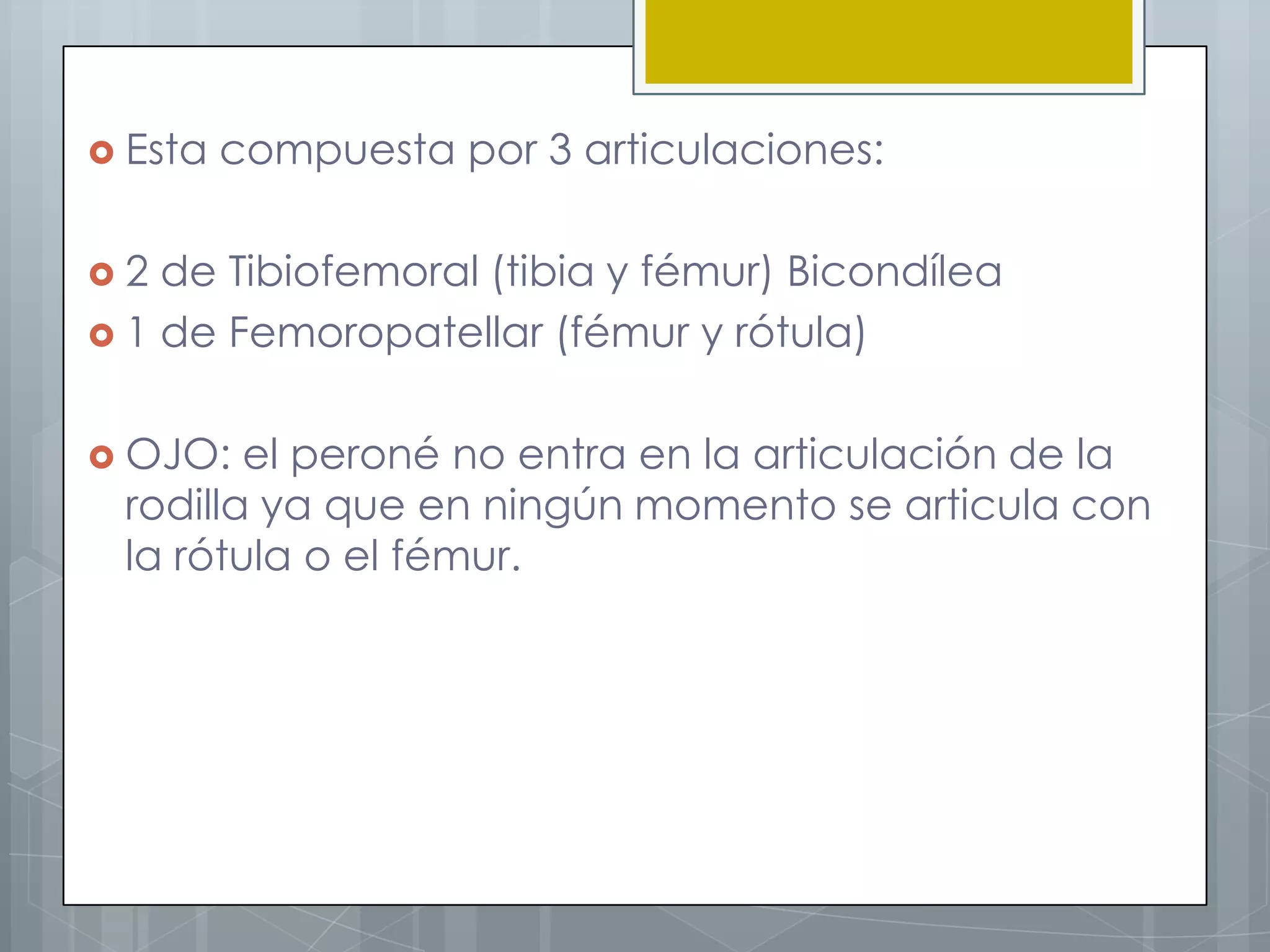 Articulacion de la rodilla expo. | PPTX