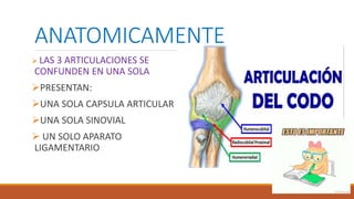 ARTICULACION DEL CODO.pptx
