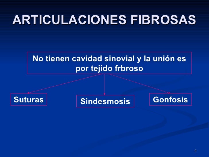 Articulaciones Fibrosas