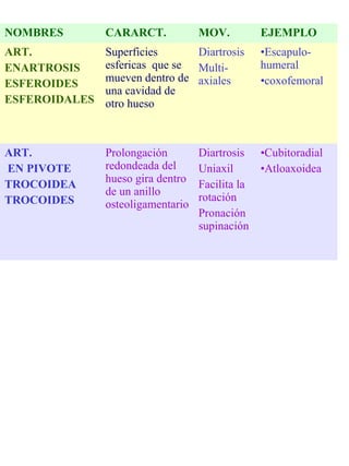 Articulaciones | PPT