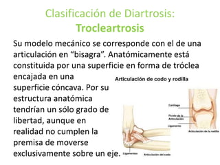 Articulaciones | PPTX