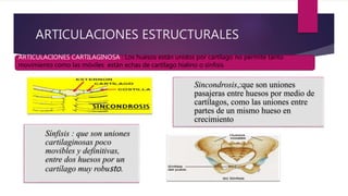 Articulaciones | PPTX
