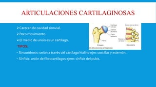 Articulaciones | PPTX