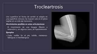 Articulaciones | PPTX