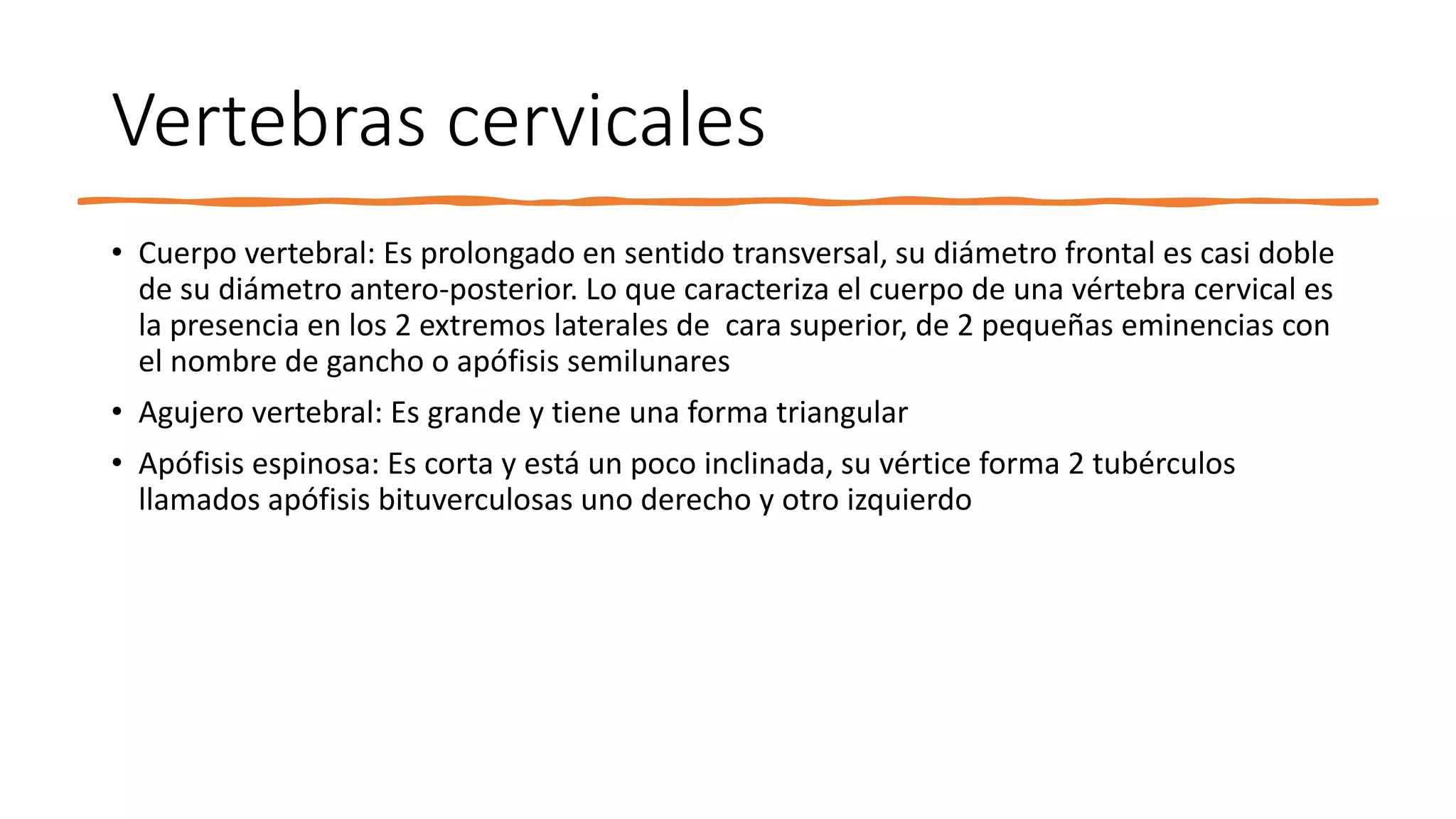 Articulaciones Cervicales.pptx