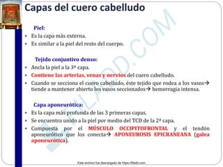 ARTICULACIONES DE LA CABEZA CEFALICA.pdf