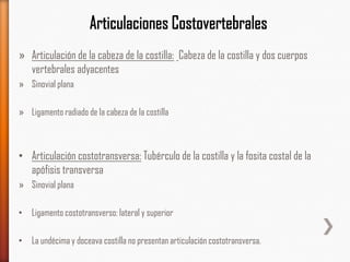 Articulaciones de la columna vertebral | PPTX