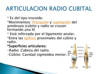 Articulaciones del codo | PPTX