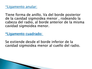 Articulaciones del codo | PPTX