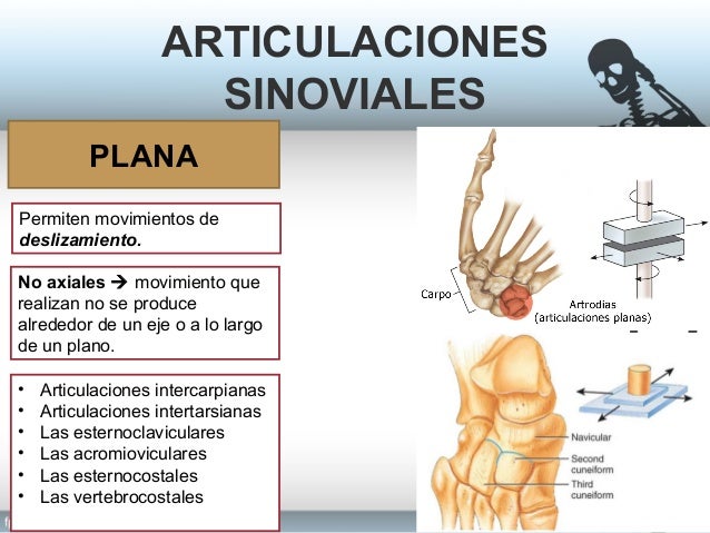 Articulaciones Sinoviales