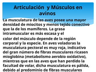 Articulaciones y Músculos de los animales.pptx