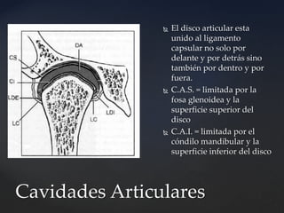 Articulacion Temporo -Mandibular.pptx