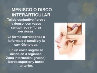 Articulacion temporomandibular | PPTX