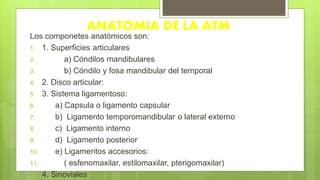 Articulacion temporomandibular | PPTX