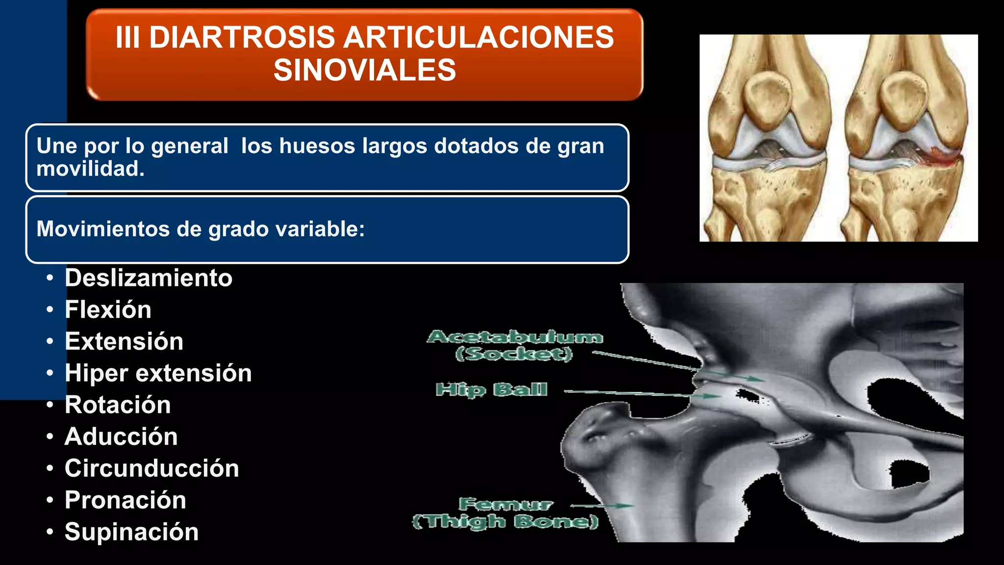 Articulacion Temporo mandibular | PPT