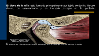Articulacion Temporo mandibular | PPTX