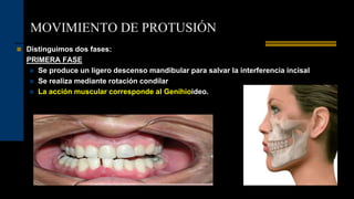 Articulacion Temporo mandibular | PPTX
