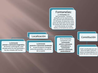 Articulacion temporomandibular y fontanelas | PPTX