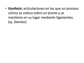 Articulacion y musculo | PPTX