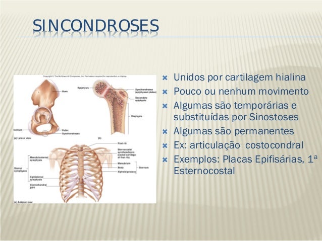 Articulacoes cinesiologia