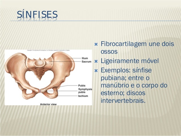 Articulacoes cinesiologia