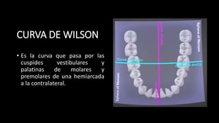 articuladores dentales en la práctica diaria | PPTX