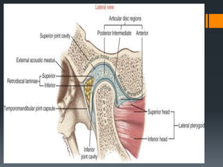 articular-disc of temporomandibular joint | PDF
