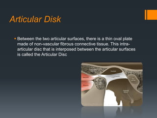 articular-disc of temporomandibular joint | PDF