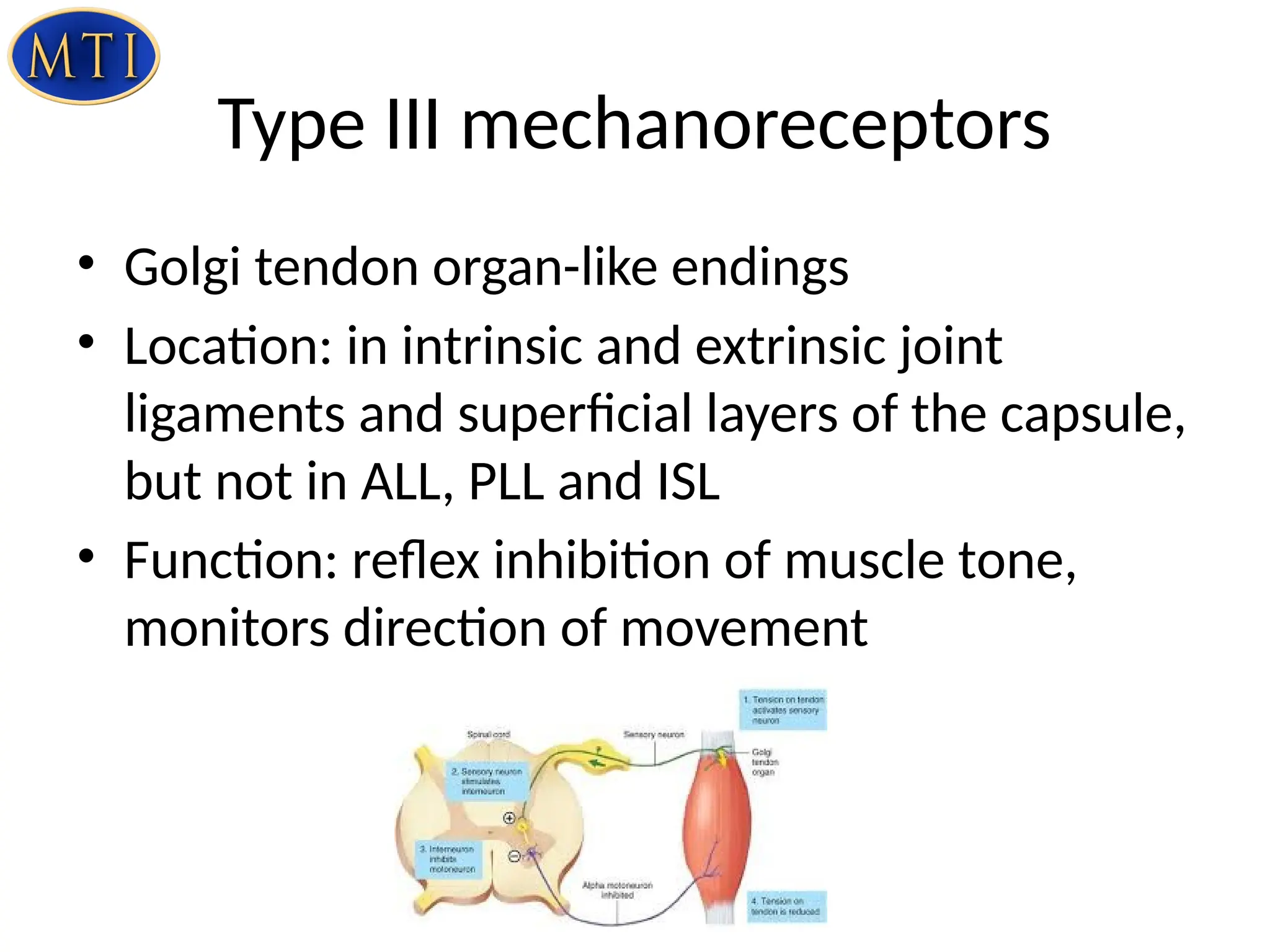 Articular-Neurology......biomechanicspptx.ppt