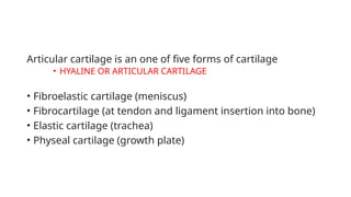 Anatomy of joint Articular cartilage.PPTX