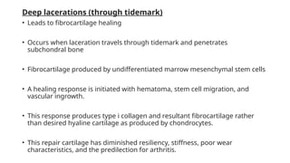 Anatomy of joint Articular cartilage.PPTX