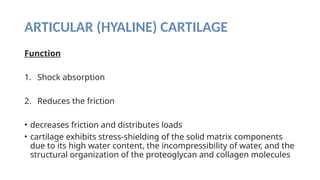 Anatomy of joint Articular cartilage.PPTX