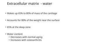 Anatomy of joint Articular cartilage.PPTX