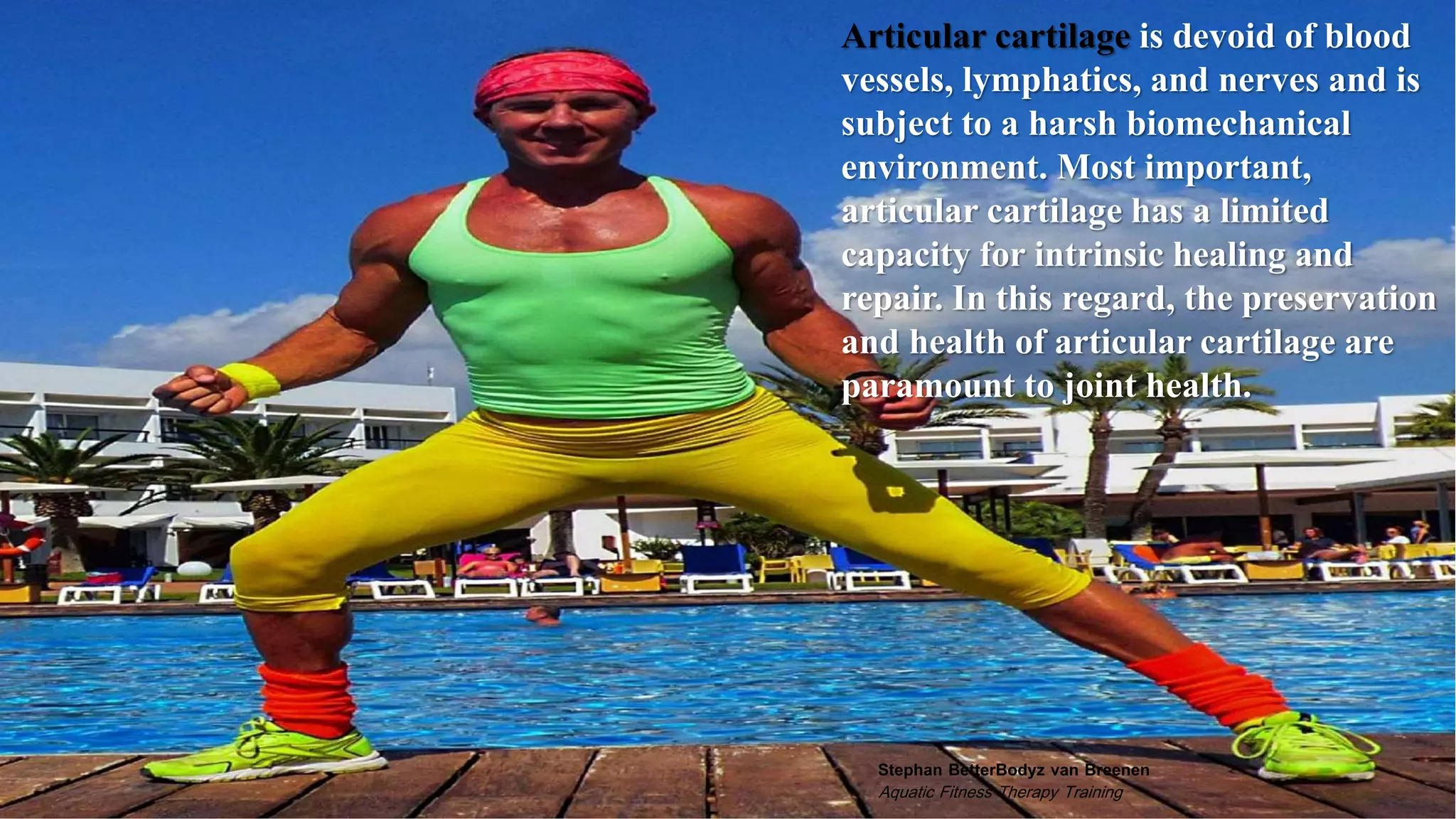 Articular Cartilage Joint Motion and Load | PPTX