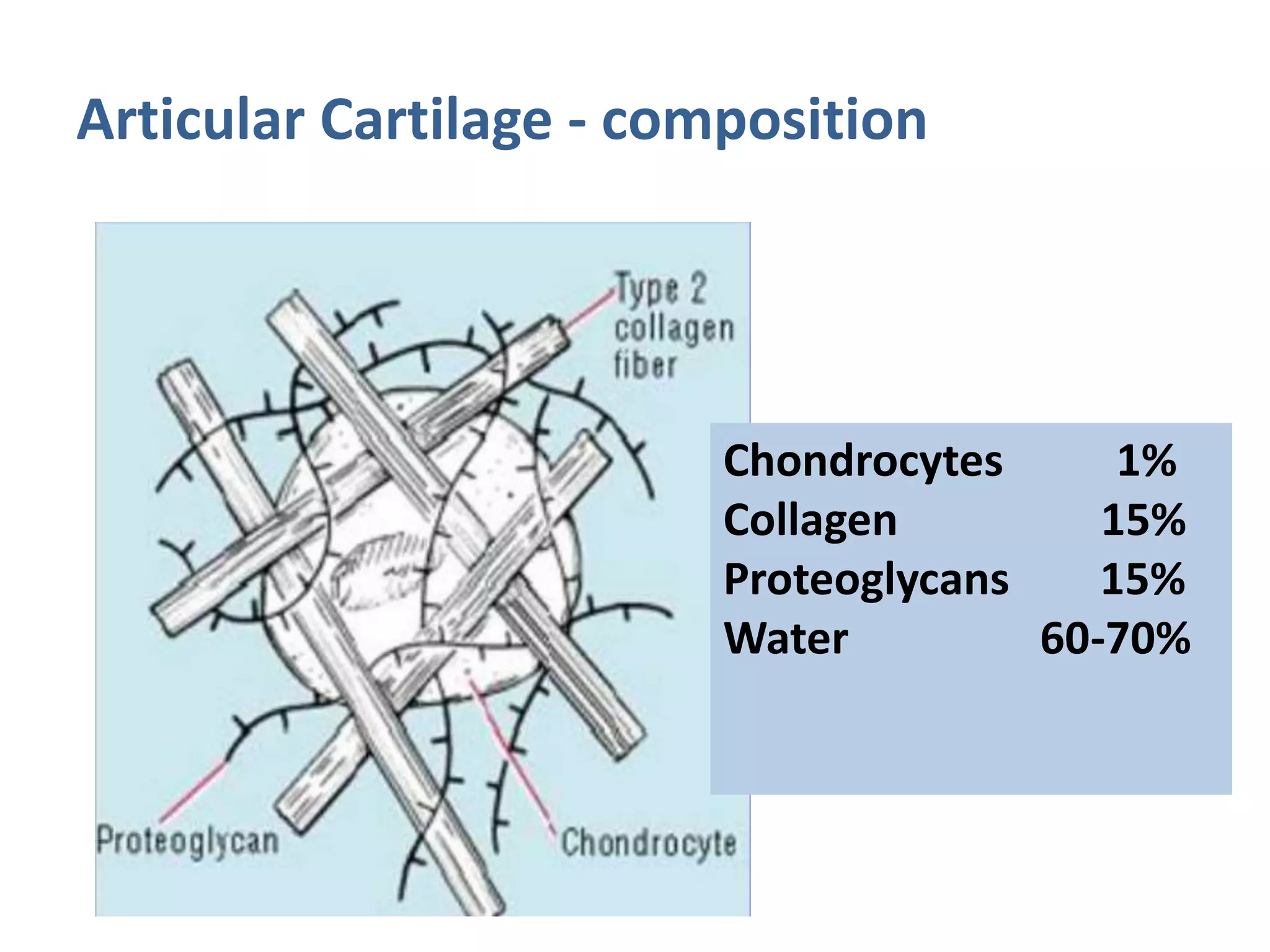 Articular cartilage injuries | PPTX
