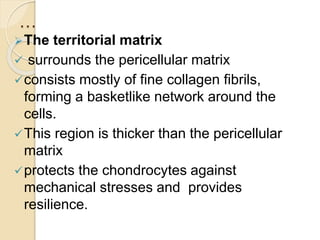 Articular Cartilage & Postraumatic Osteoarthritis | PPTX