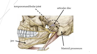 ARTICULAR DISC OF TEMPOROMANDIBULAR JOINT | PDF