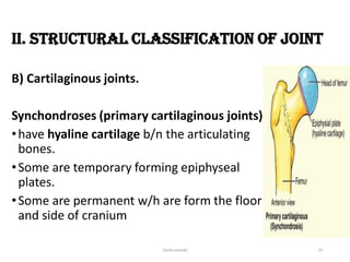 Articular system.pdf