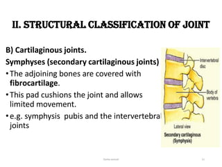 Articular system.pdf